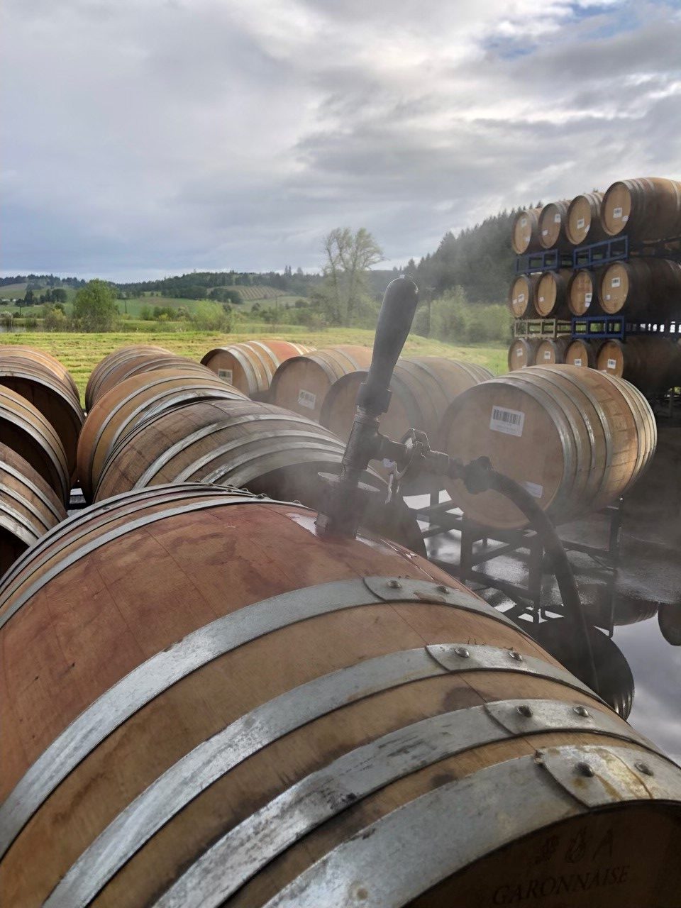 The Four Graces - Willamette Valley Winery