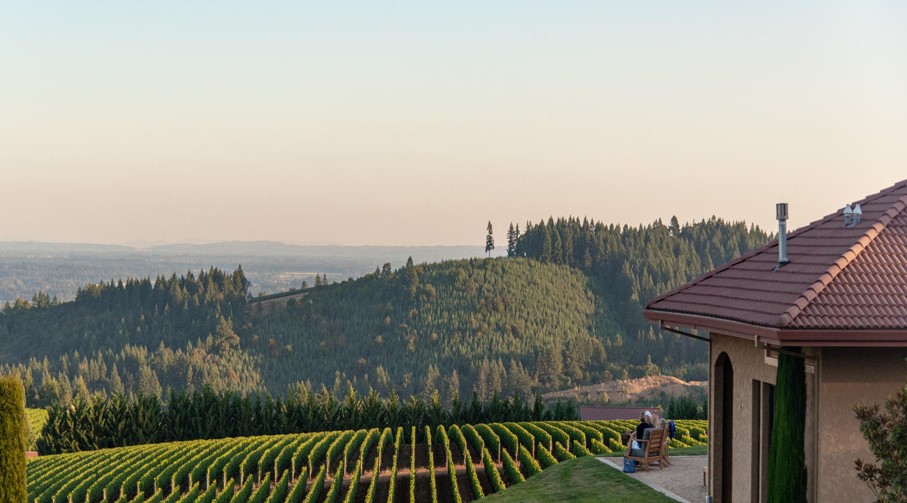 About The Four Graces - The Four Graces